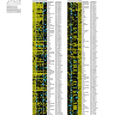 Figure S2 Microarray Analysis Using Single Cells A Clustering Download Scientific Diagram