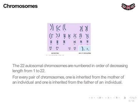 Basic Genetics Concepts And Terminology Pptx