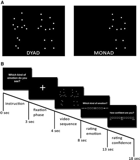 A Examples Of Dyadic And Monadic Pointlight Displays B Temporal
