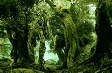 Treebeard Lotr GIF Treebeard Lotr Sense Discover Share GIFs