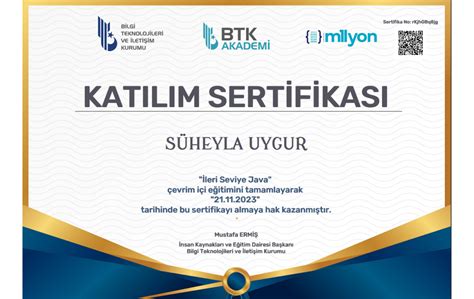 Btk Akademi İleri Seviye Java