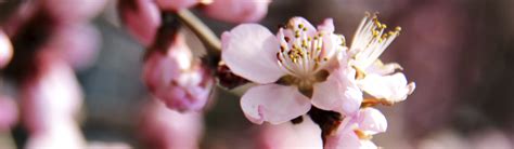 我校学子第13届未来设计师·全国高校数字艺术设计大赛中取得佳绩 长春工程学院