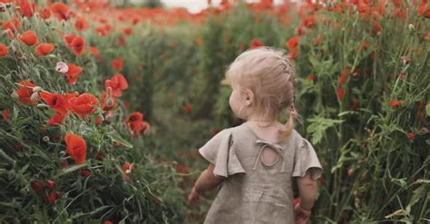 걱정 없는 걷고 있는 걷기 경치 고요함 귀중한 기쁨 꽃 꽃밭 꽃이 피는 농촌의 뒷모습 들판 딸 모험심이 많은 목가적인 봄 붉은 꽃 빨간