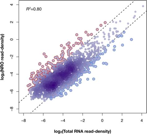 Contribution Of Transcript Synthesis To Transcript Abundance And Download Scientific Diagram