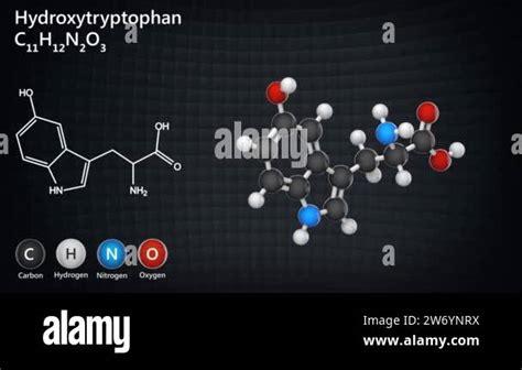 Tryptophan 3d Molecule Chemical Stock Videos And Footage Hd And 4k Video Clips Alamy