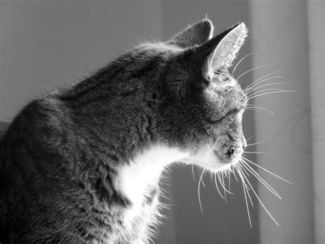 A Tribute To Twinkle