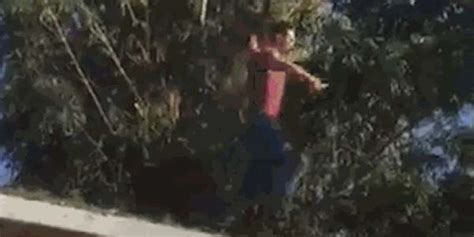 My Programmers Life In A Nutshell The Coding Love Programmer Humor S Memes Jokes