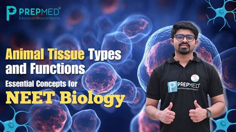 Animal Tissue Types And Functions Essential Concepts For Neet Biology