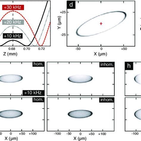 Realistic Modeling Of Bose Einstein Condensates In A Typical Cal