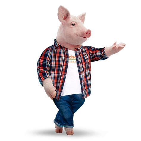 Productos De Cerdo Bachoco® Tu Proteína De Todos Los Días