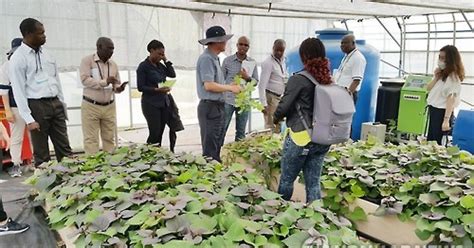 모잠비크 공무원 정읍서 영농기술 연수