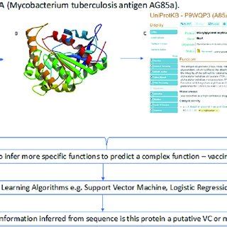 Depiction Of The Theory Can Sequence Infer Function The Known Vaccine Download Scientific