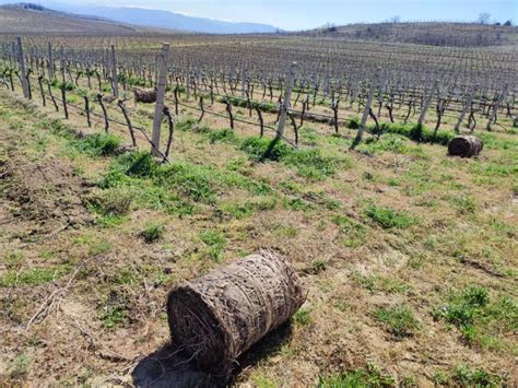 Во Демир Капија работилница „Дисеминација на бизнис модели за третман на био отпад од