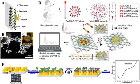 Ad A Graphene‐based Ec Sensor For Detecting Sars‐cov‐2 Genetic