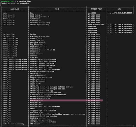 Minikube Kubeflow 내 Minio Service 포트포워딩