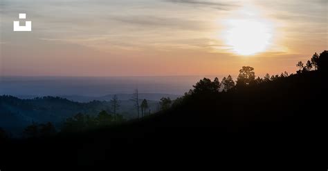 숲 위의 일몰 사진 Unsplash의 무료 커스터 주립공원 박차 이미지