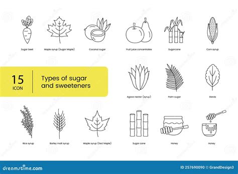 Types Of Sugar And Sweeteners Set Line Icons In A Vector Includes Maple And Sugar Beet Coconut