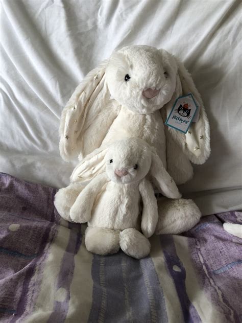 Twinkle Bashful Bashful Bunnies