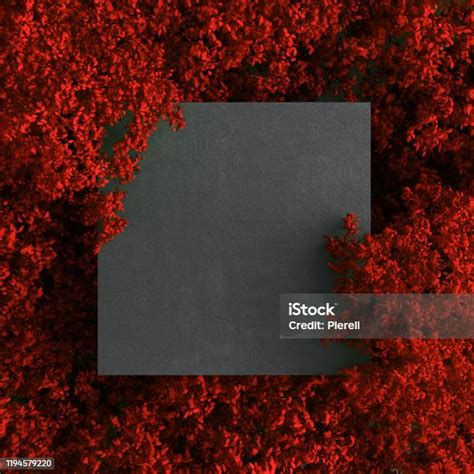 아름 다운 여름 단 풍 프레임입니다 3d 일러스트레이션 3d 렌더링 추상적인에 대한 스톡 사진 및 기타 이미지 추상적인 0명 3차원 형태 Istock