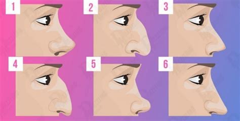 Nubian Nose
