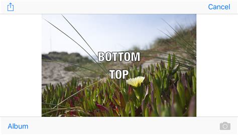 Ios Auto Layout Constraints For Text Fields Relative To An Image