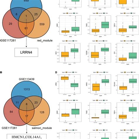 Selection And Validation Of Key Regulatory Genes A Venn Diagram To Download Scientific