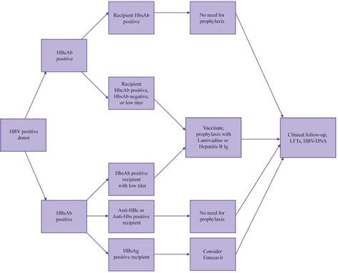 Recommended Preoperative Workup For Hepatitis B Screening Download Scientific Diagram