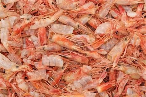 Shrimp Shell Powder Chitin Chitosan Glucosamine Fertilizer