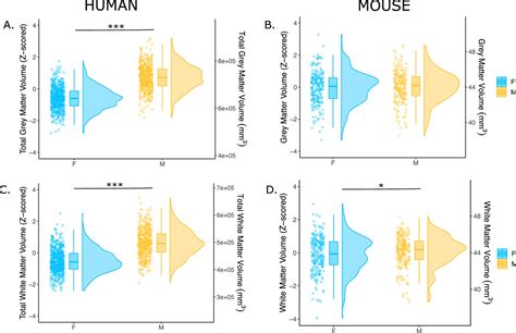 Figures And Data In Comparative Neuroimaging Of Sex Differences In