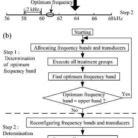 Determination Procedure Of Optimal Frequency A Schematic Diagram Download Scientific