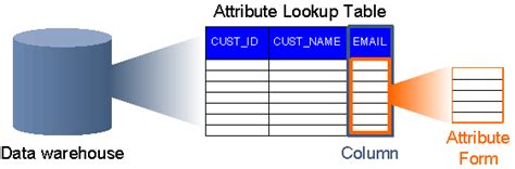 Column Data Descriptions And Identifiers Attribute Forms