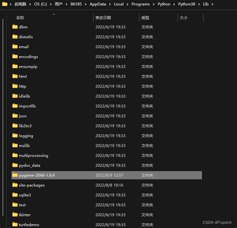 Python蟒蛇书《外星人入侵》项目学习记录安装pygame包在终端输入 Python3 M Pip Install User