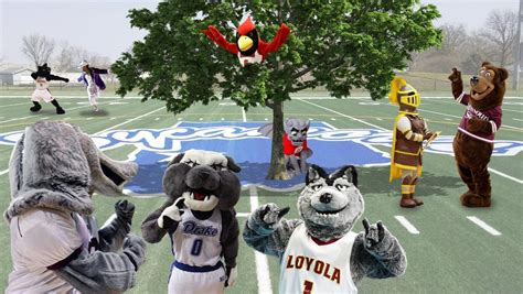 Who Would Win A Battle Between Real Life Mvc Mascots The Bradley Scout