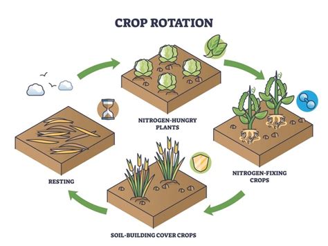 2 Thousand Crop Rotation Vector Royalty Free Images Stock Photos Pictures Shutterstock
