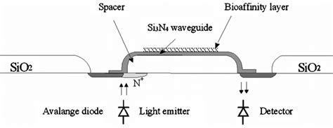 Biosensor Principle Of The Biomic Chip The Schematic Drawing Of One Download Scientific