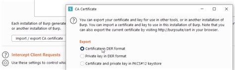 Mobile Application Penetration Testing Basics