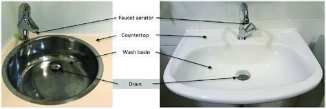Sink Surfaces Cultured During Every Sampling Moment Shown Are The Download Scientific Diagram