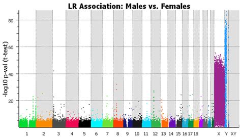 Why You Should Care About Segmental Duplications The Golden Helix Blog