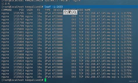 Ky10 Server Keepalived 配置多个虚拟机ip,nginx配置,业务数据测试过程说明keepalive配置多个虚拟ip Ky10 Server Keepalived 配置多个虚拟机ip,nginx配置,业务数据测试过程说明keepalive配置多个虚拟ip