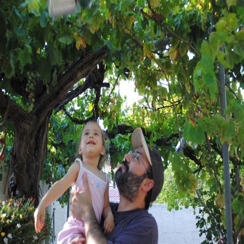 Projectdetect Fruit Object Detection Dataset By Project