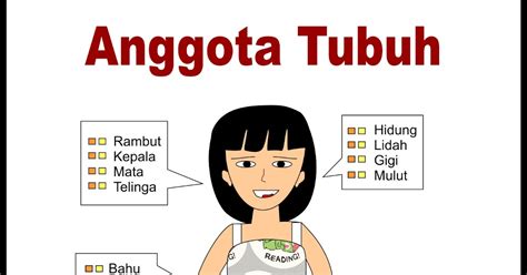 Gambar Animasi Anggota Tubuh Terlengkap Dan Terupdate Top Animasi