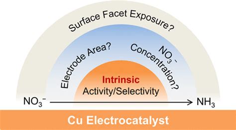 Elucidating The Intrinsic Activity And Selectivity Of Cu For Nitrate