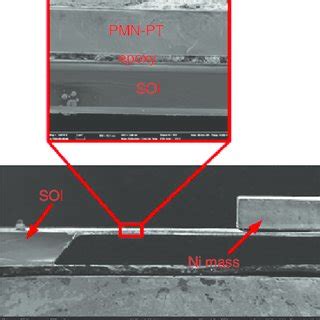 Fabrication Process Of Composite Cantilever Beam And Ni Proof Mass A Download Scientific