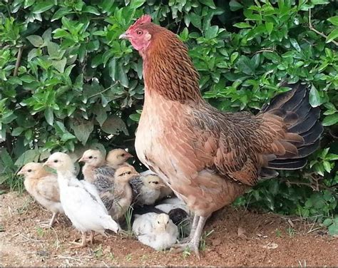 Bisnis Modal Kecil Yuks Belajar