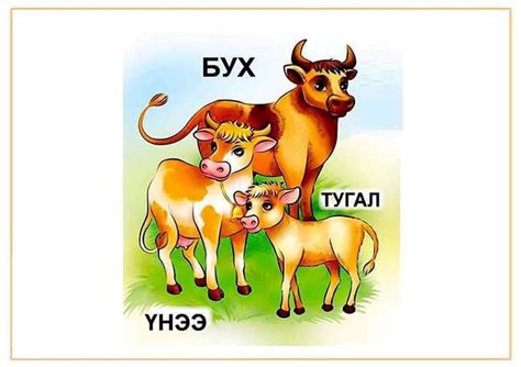 Хэрэгтэй Хэвлэл Амьтдын үр төл Мэдлэгт дусал нэмэр