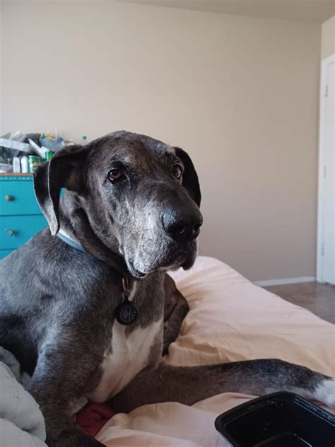 Metoclopramide Generic Tablets 10 Mg 60 Tablets