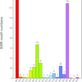 Statistics For Simple Sequence Repeat SSR Classification In The Download Scientific Diagram