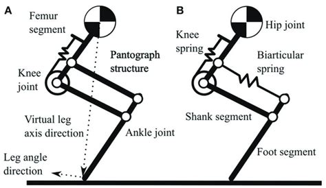 tsid for pantograph biarticular robot leg design · issue 165 · stack of tasks tsid · github