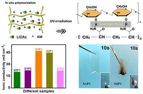 In Situ Polymerization Of Xanthanacrylamide For Highly Ionic Conductive Gel Polymer