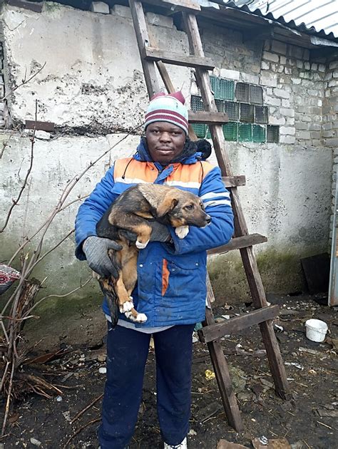 Студент Рене из Камеруна помогает приюту в Ельце ухаживать за животными Вести Липецк Дзен